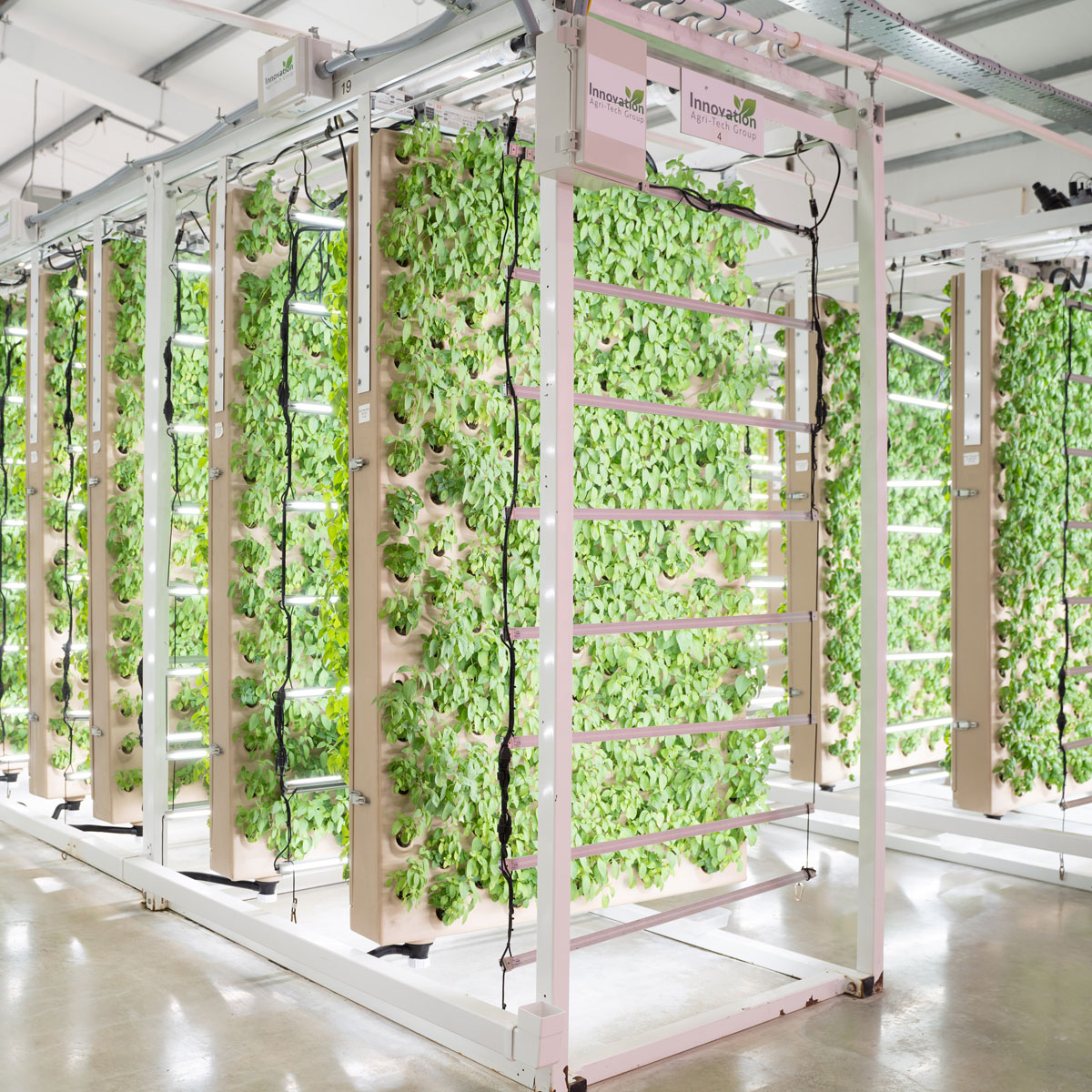 Home [iagri-tech.com]