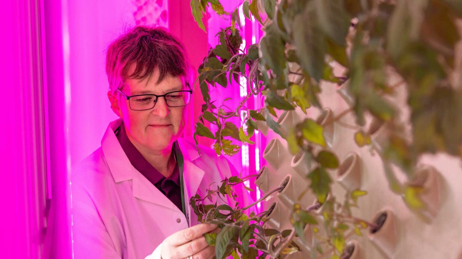 Home [iagri-tech.com]